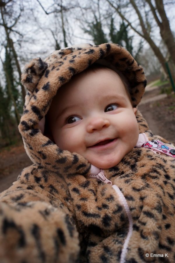 Mon bébé a 7 mois ! - Le Carnet d'Emma