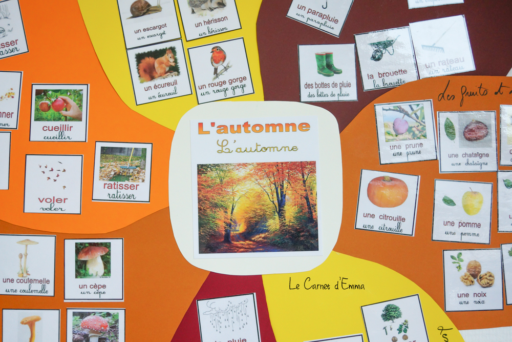 Notre fleur d'Automne - Le Carnet d'Emma