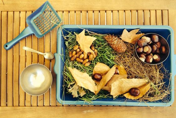 15 idées d'activités sur l'Automne - Le Carnet d'Emma