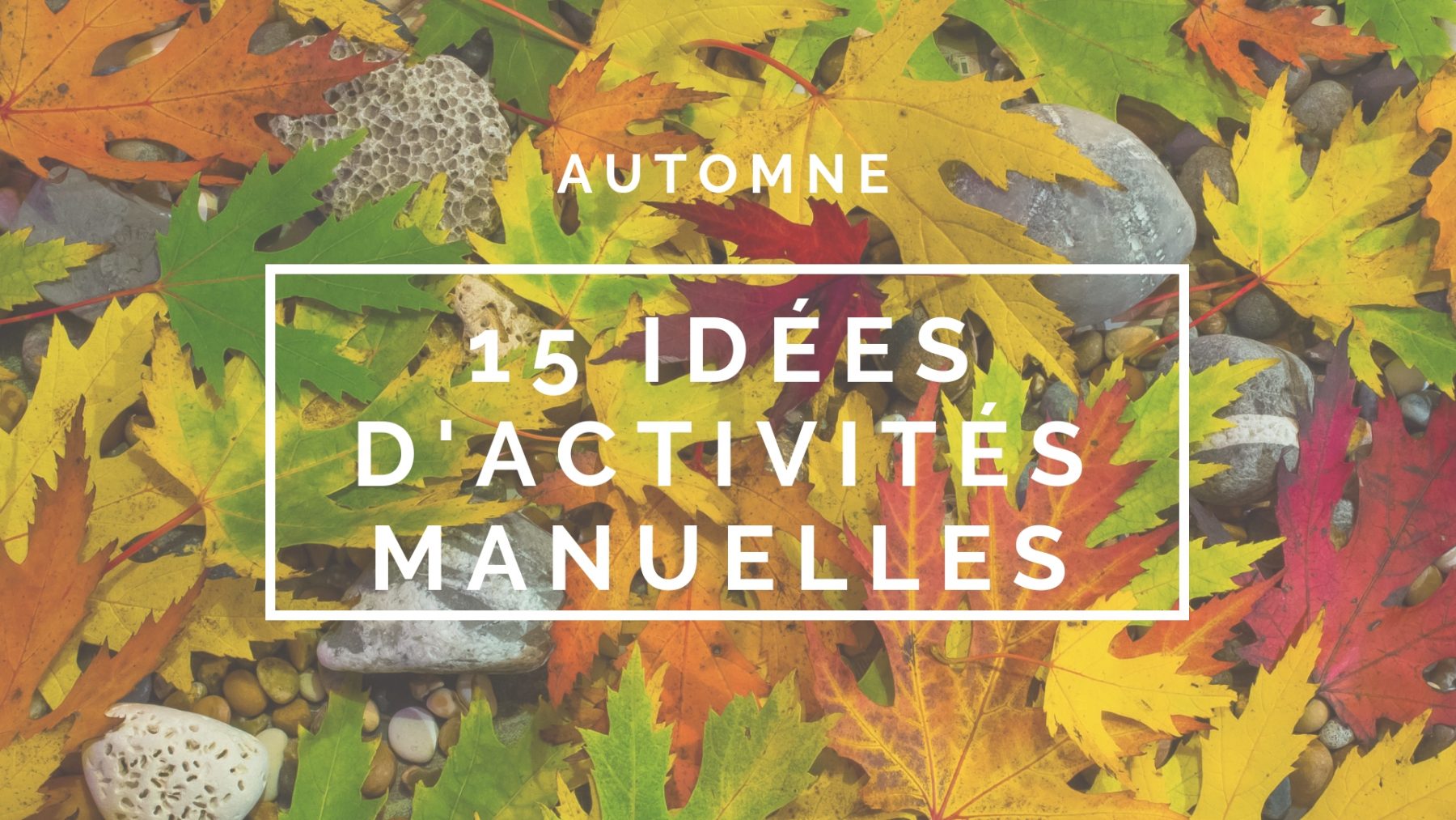 15 idées d'activités sur l'Automne - Le Carnet d'Emma