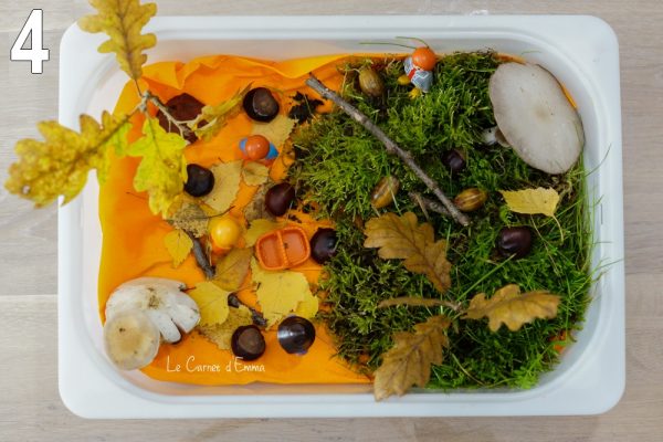 50 idées d'activités autour de l'Automne - Le Carnet d'Emma